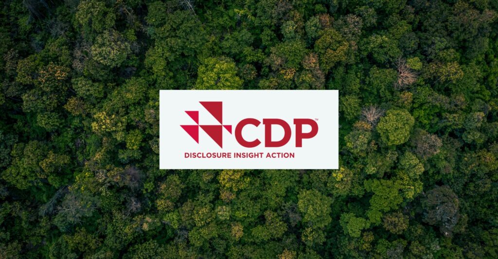 CDP2024年評比成績搶先看！台灣大 5 連霸氣候 A 級－ESG永續台灣