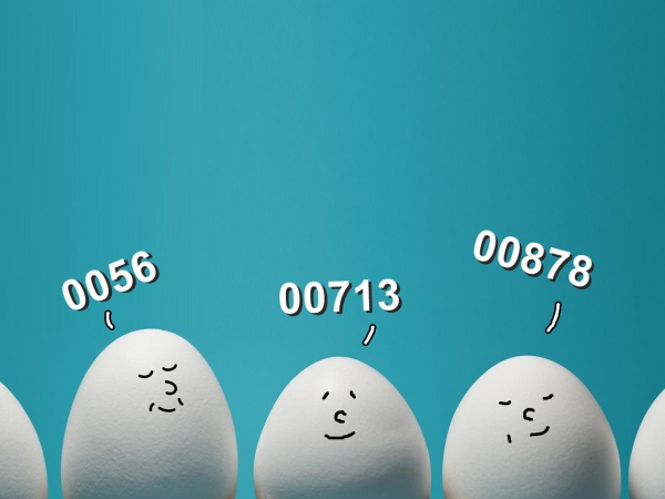 0056、00713、00878...收益平準金機制下，定期定額該減碼嗎？艾蜜莉：我不會因此改變存股策略 - 今周刊